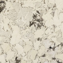 Best Alpinus Super Crystal Granite (Pictures & Costs) | Marble.com