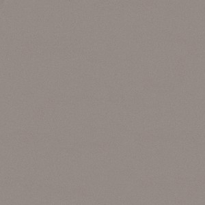 Best 4003 Sleek Concrete Caesarstone Quartz (Pictures & Costs) | Marble.com