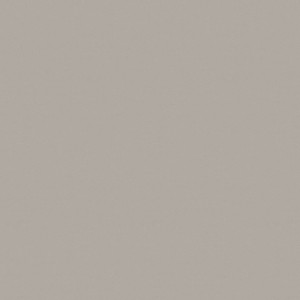 Best 4004 Raw Concrete Caesarstone Quartz (Pictures & Costs) | Marble.com